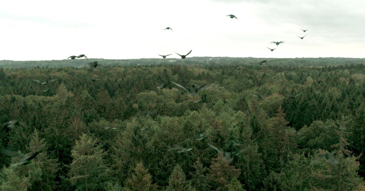 EISKALTE SPUR - Das Geheimnis des Totenwaldes - ARD | Das Erste EISKALTE SPUR - Das Geheimnis des Totenwaldes - ARD | Das Erste